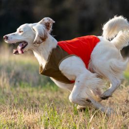 CUGA Protective Dog Vest